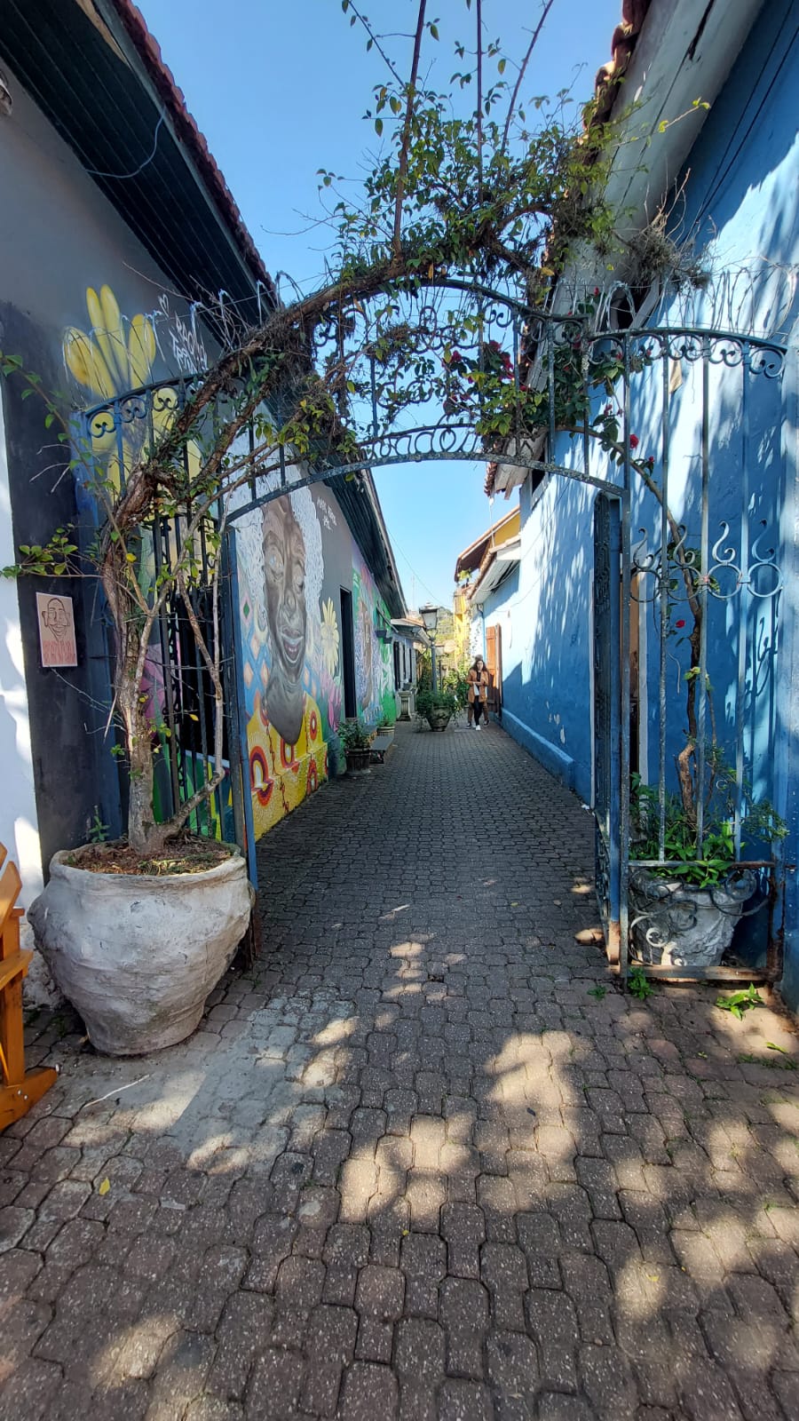 Filiados se rendem à cultura e ao meio ambiente em visita a Embu das Artes